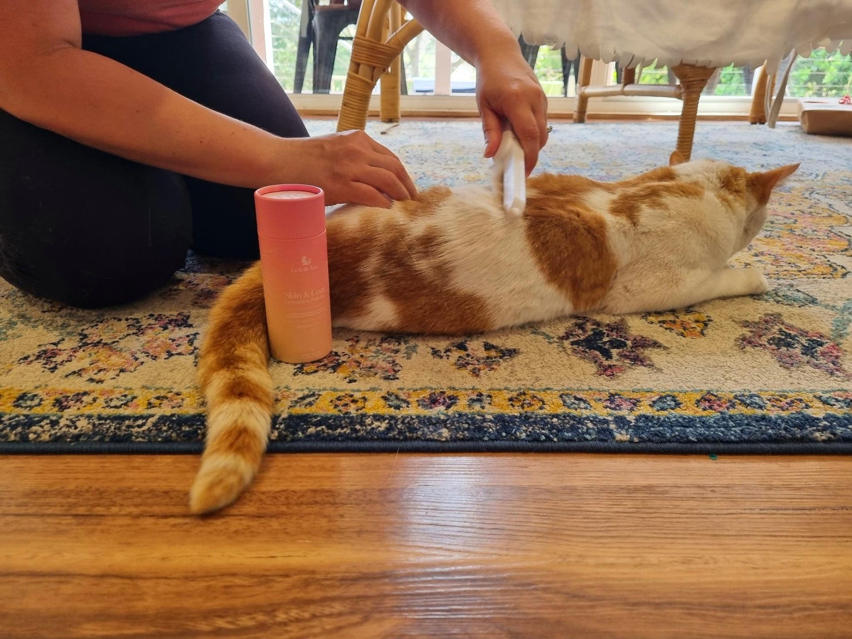 Skin & Coat Grooming Powder – La Belle Paw